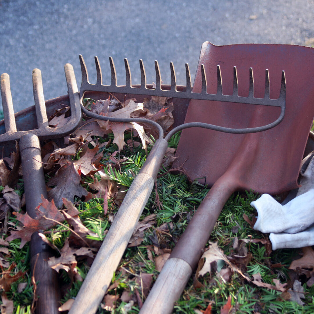 Fall Home Maintenance: Getting Your Home Ready For Winter - Activa