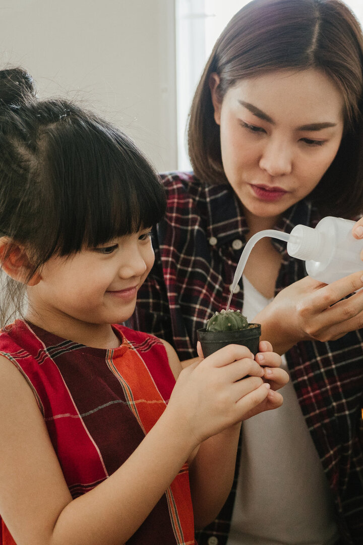 6 Activities for Spring Break at Home! - Activa